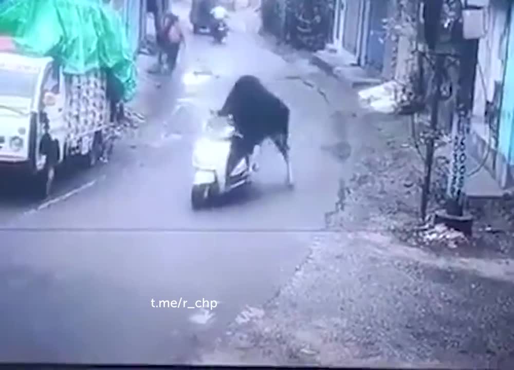 Watch 1746298455_228_21 | Streamable