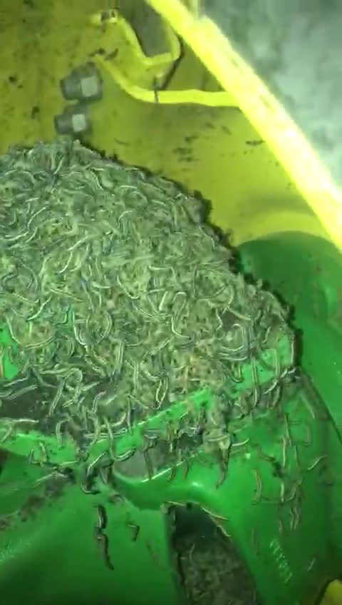 Watch ntt412 | Streamable