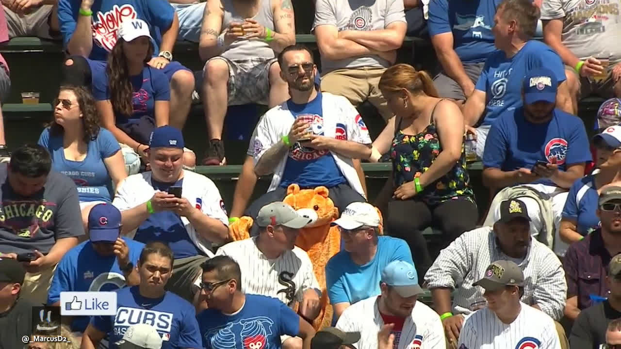 Update to bear pants at Cubs game. It was not bear pants. Meant to look ...