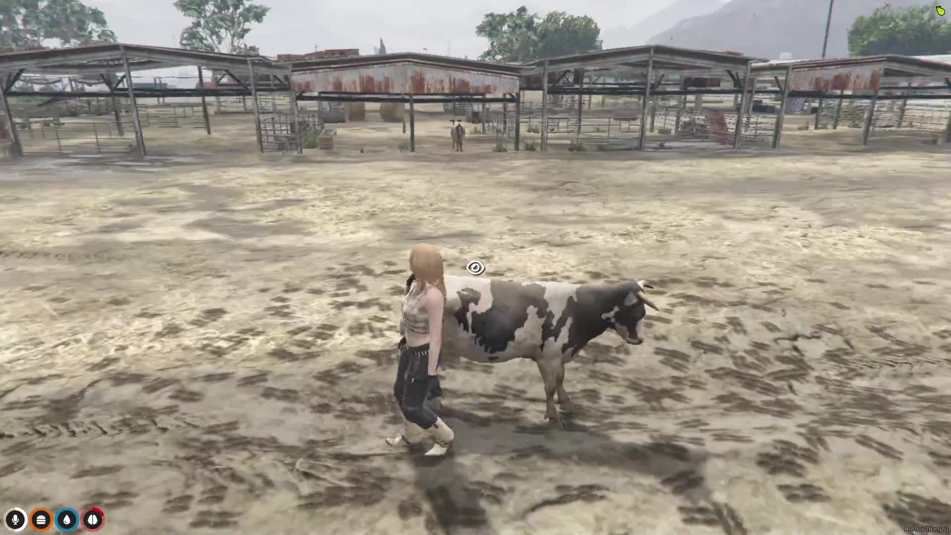 Killing / Milking Cows