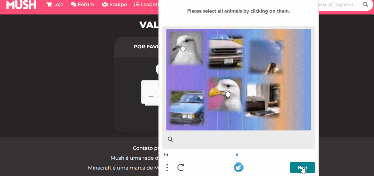Watch Como validar sua conexão no Mush - mush.com.br (https://mush.com.br/validar) | Streamable