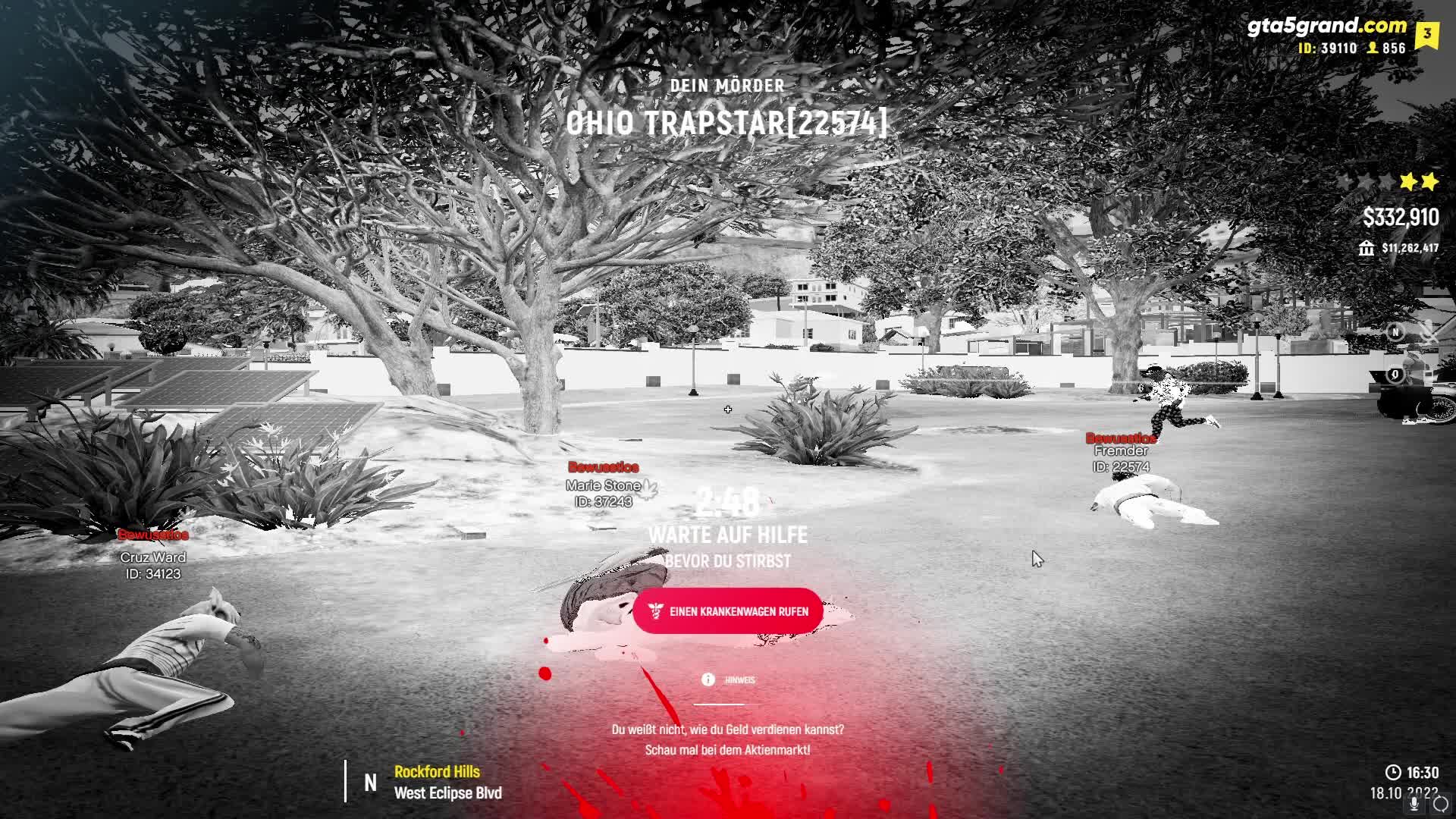 Watch DM+MK | Streamable