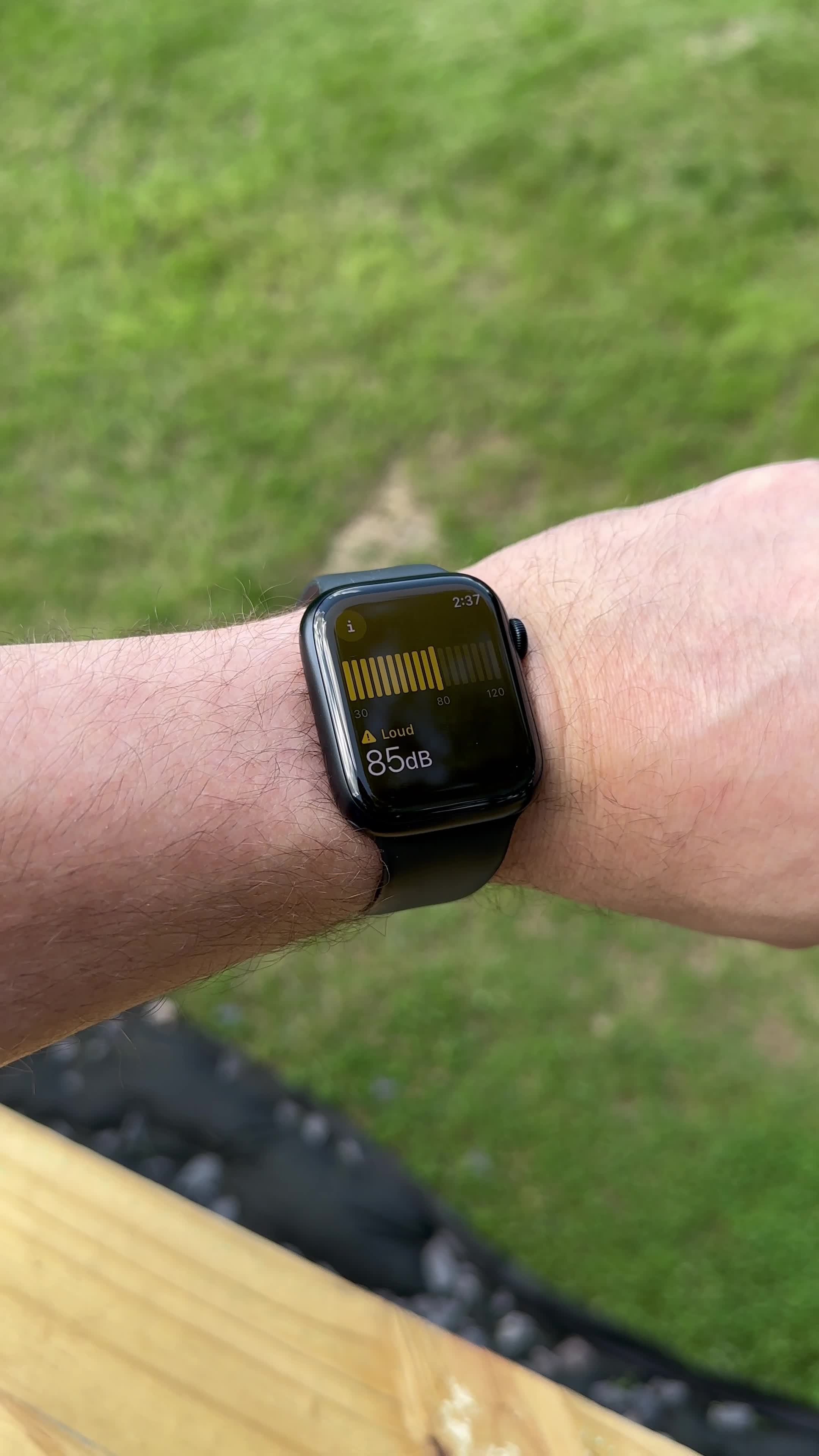 Watch St. Louis Cicadas 2024-05-18 | Streamable