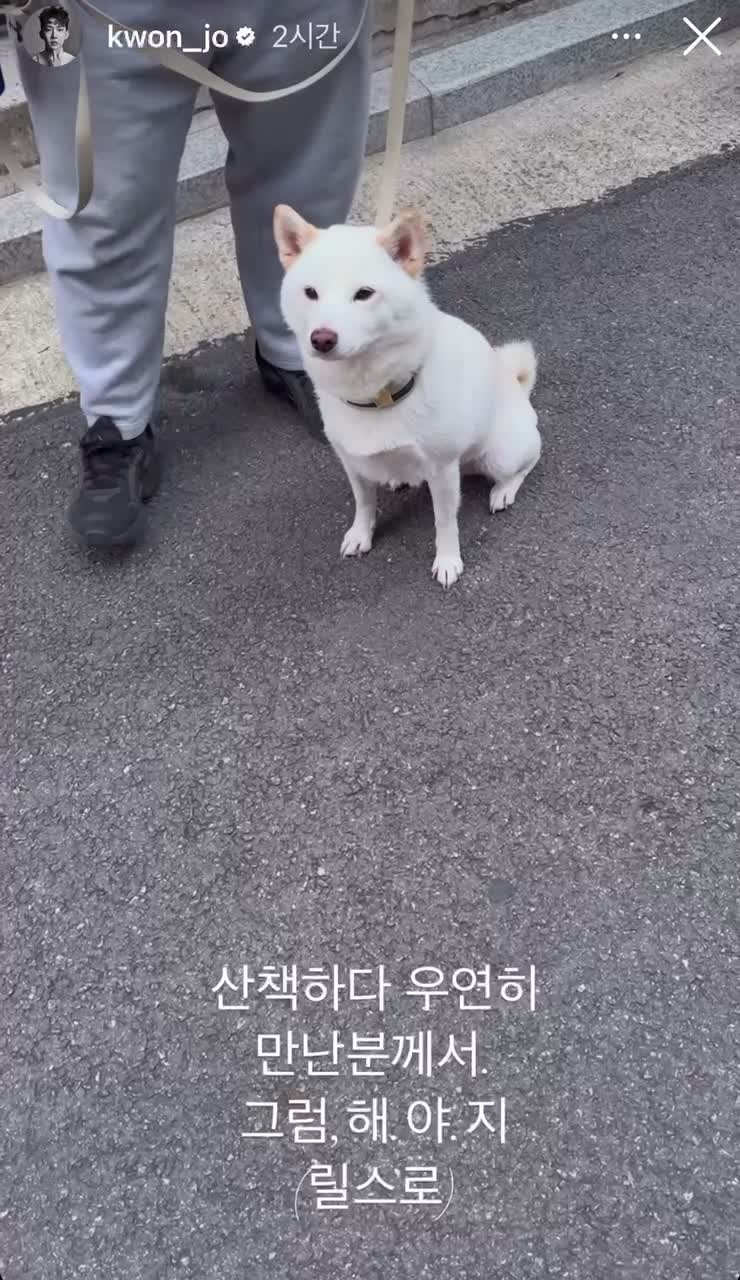 Streamable Video