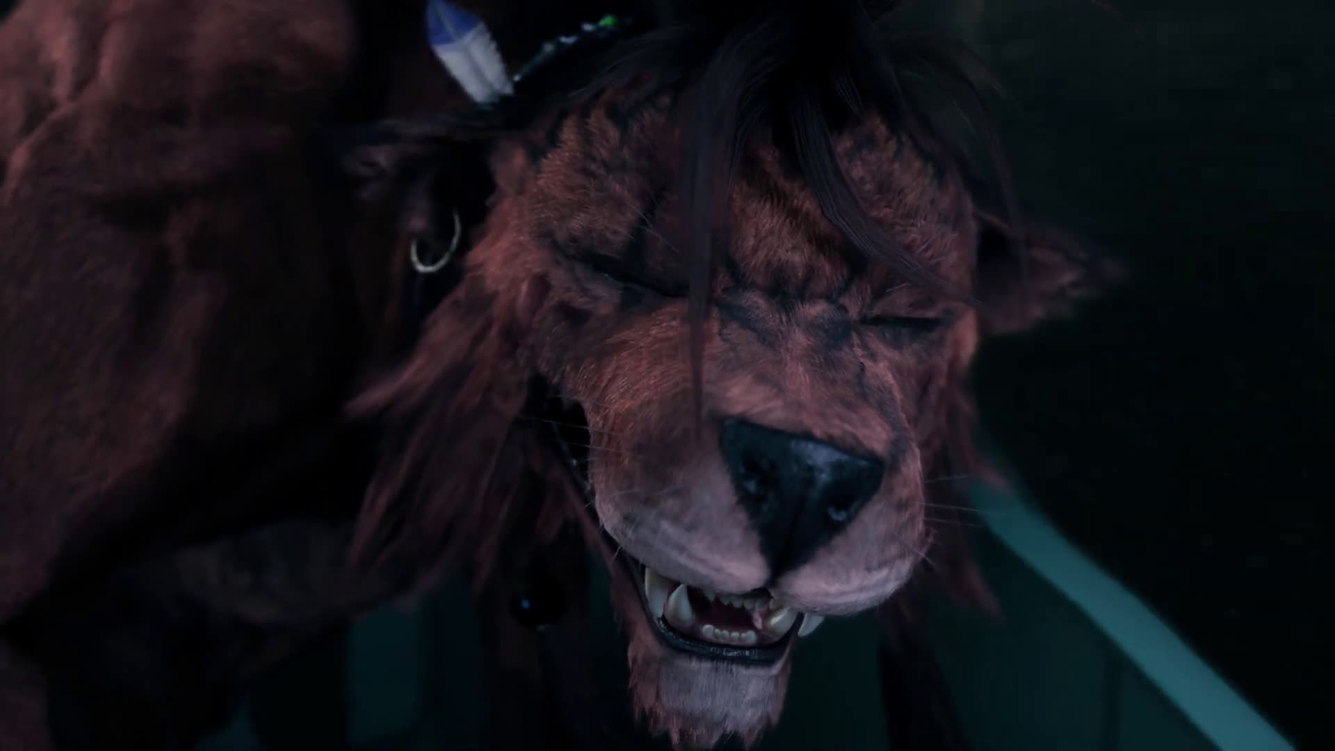 RedXIII