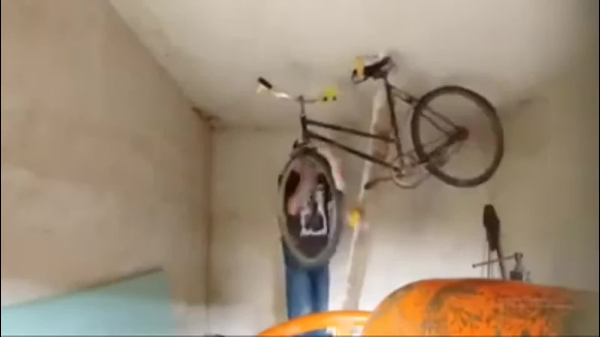 Watch xd | Streamable