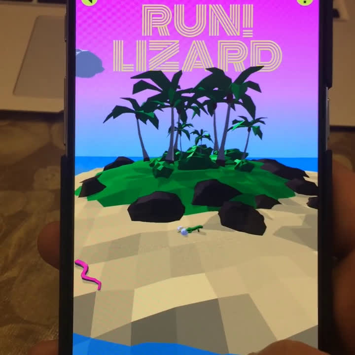 Run Lizard Run!