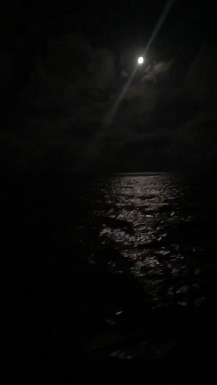 Pacific Ocean at night