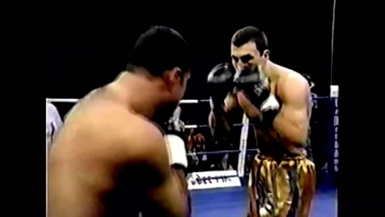 Wlad 1996