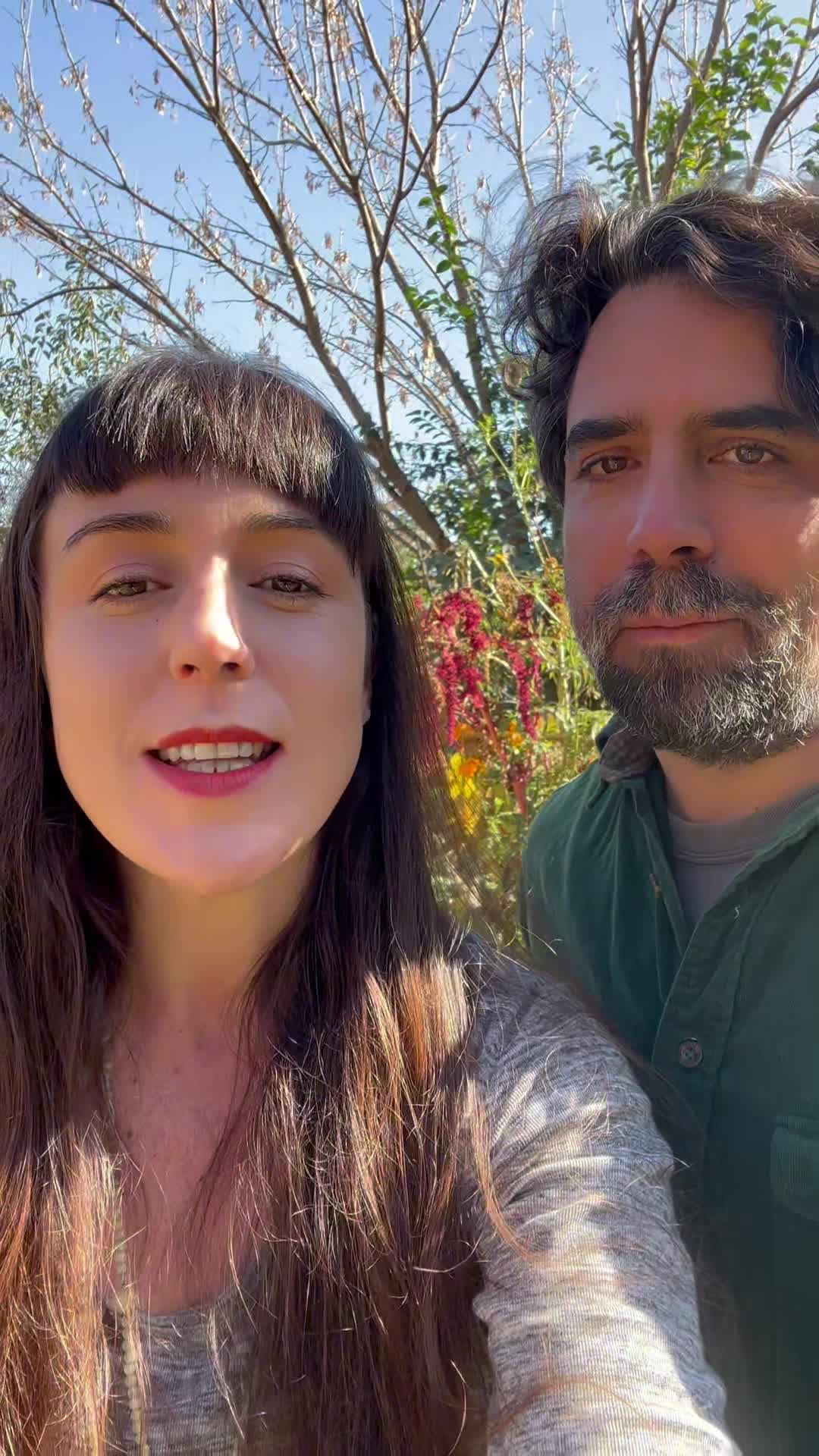 Watch SK cristal planta cdmx | Streamable