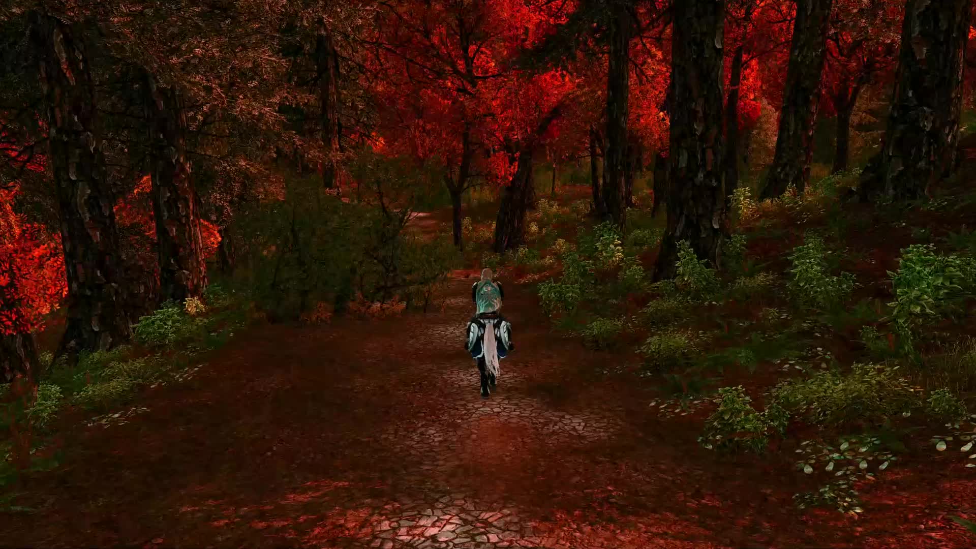 First Lotro Attempt-1