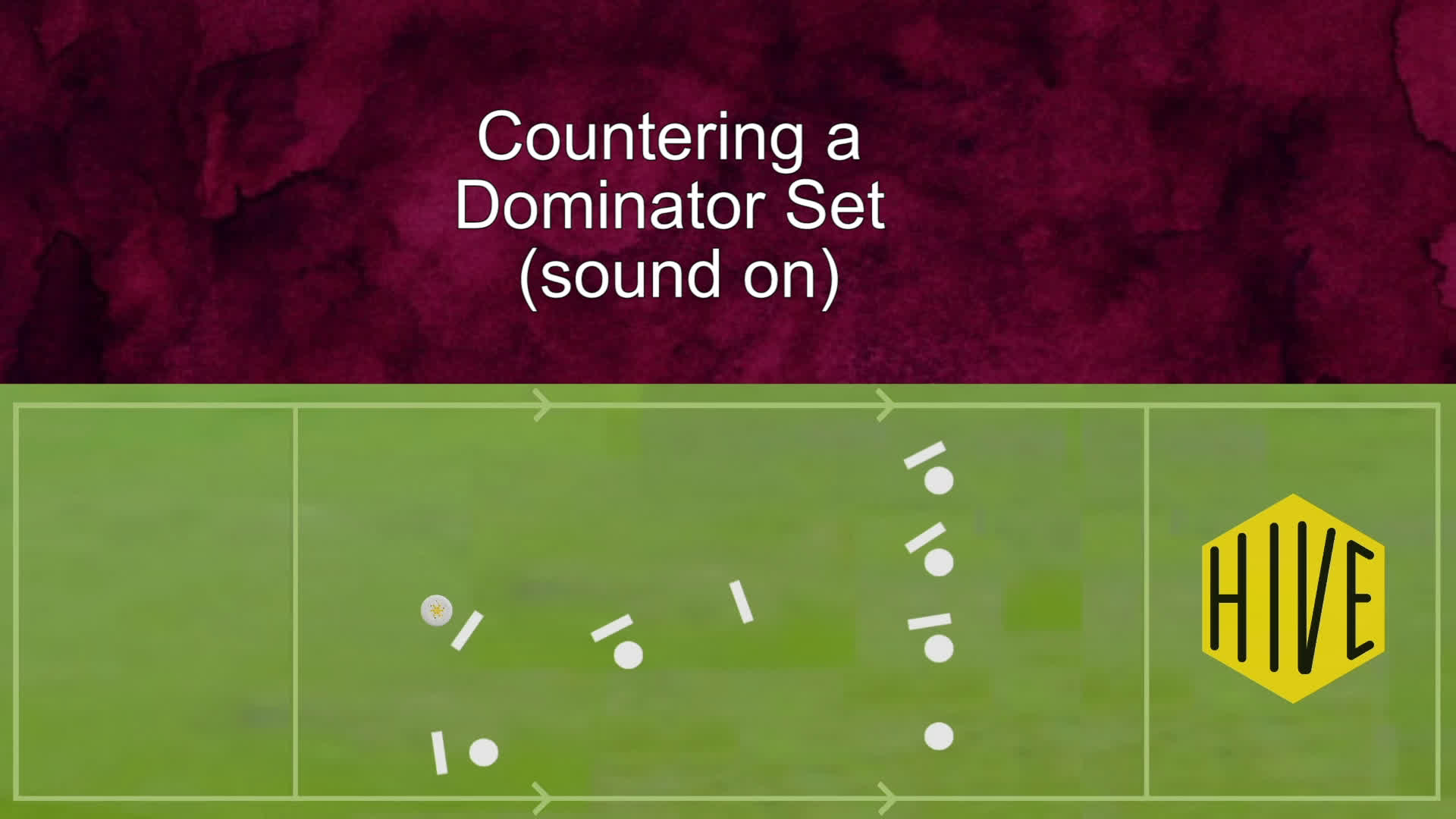 Countering a Dominator Set