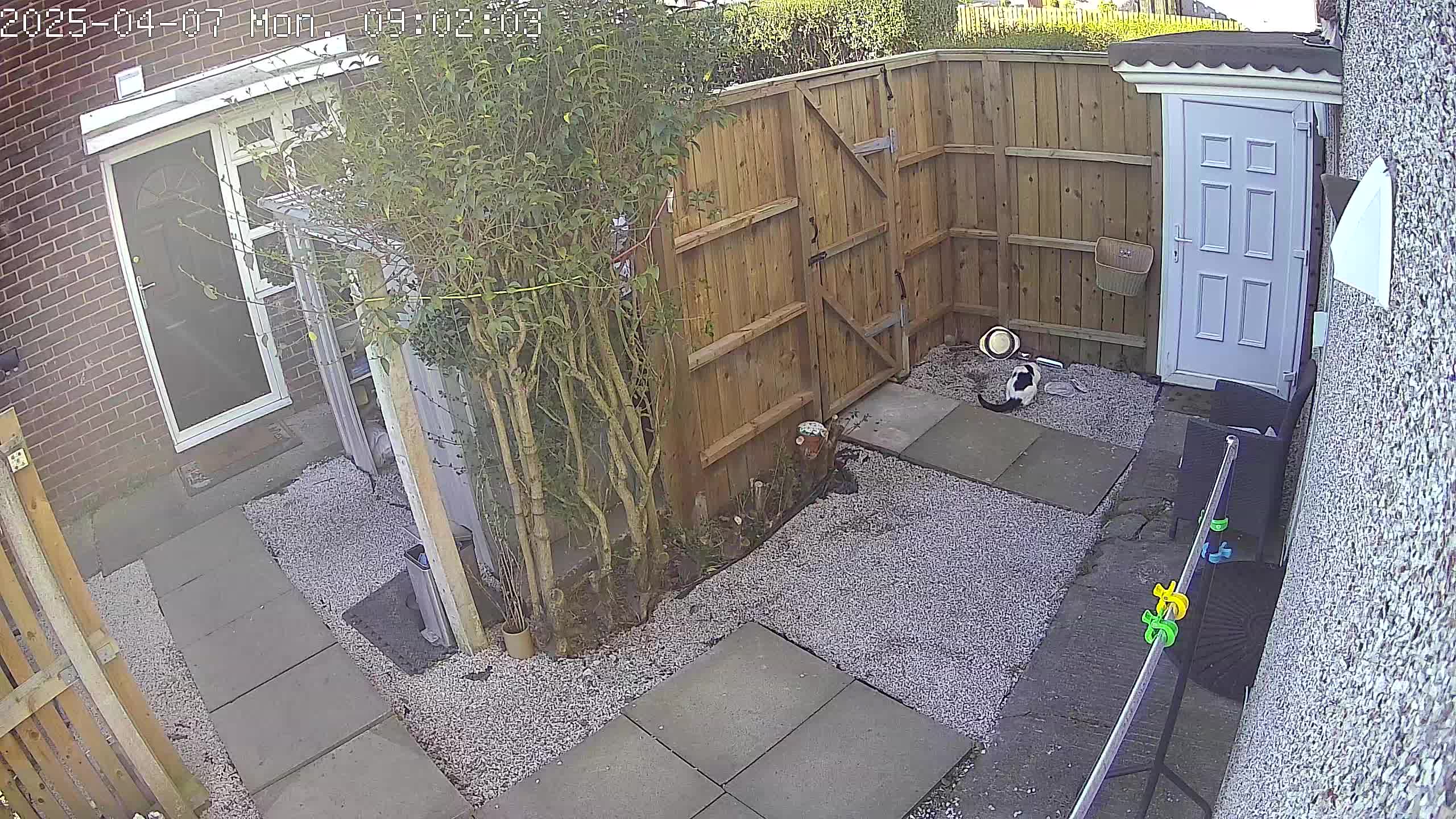 Watch Ballantrae NVR (Channel 3-Side)_20250407090123-20250407090207_0 | Streamable