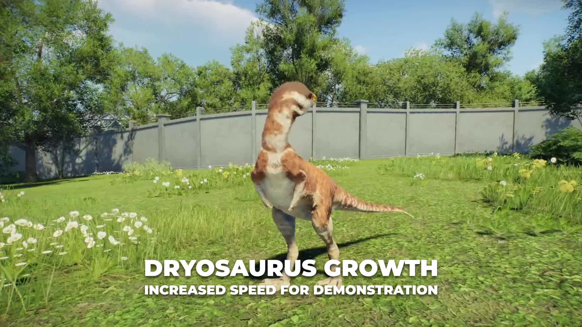 Watch Ontogeny_Dryo | Streamable