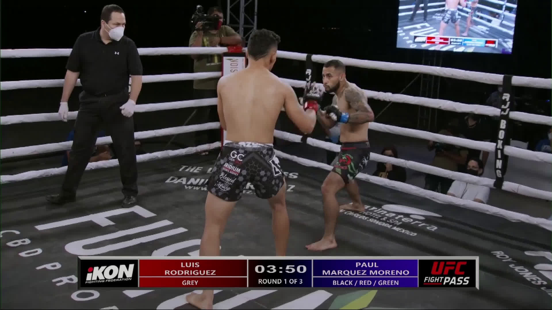 Rodríguez vs Moreno