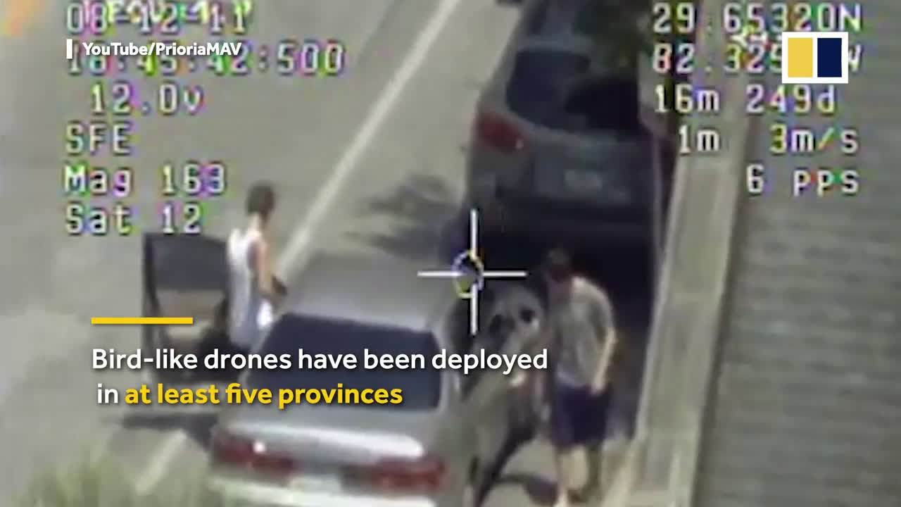 Doves drones