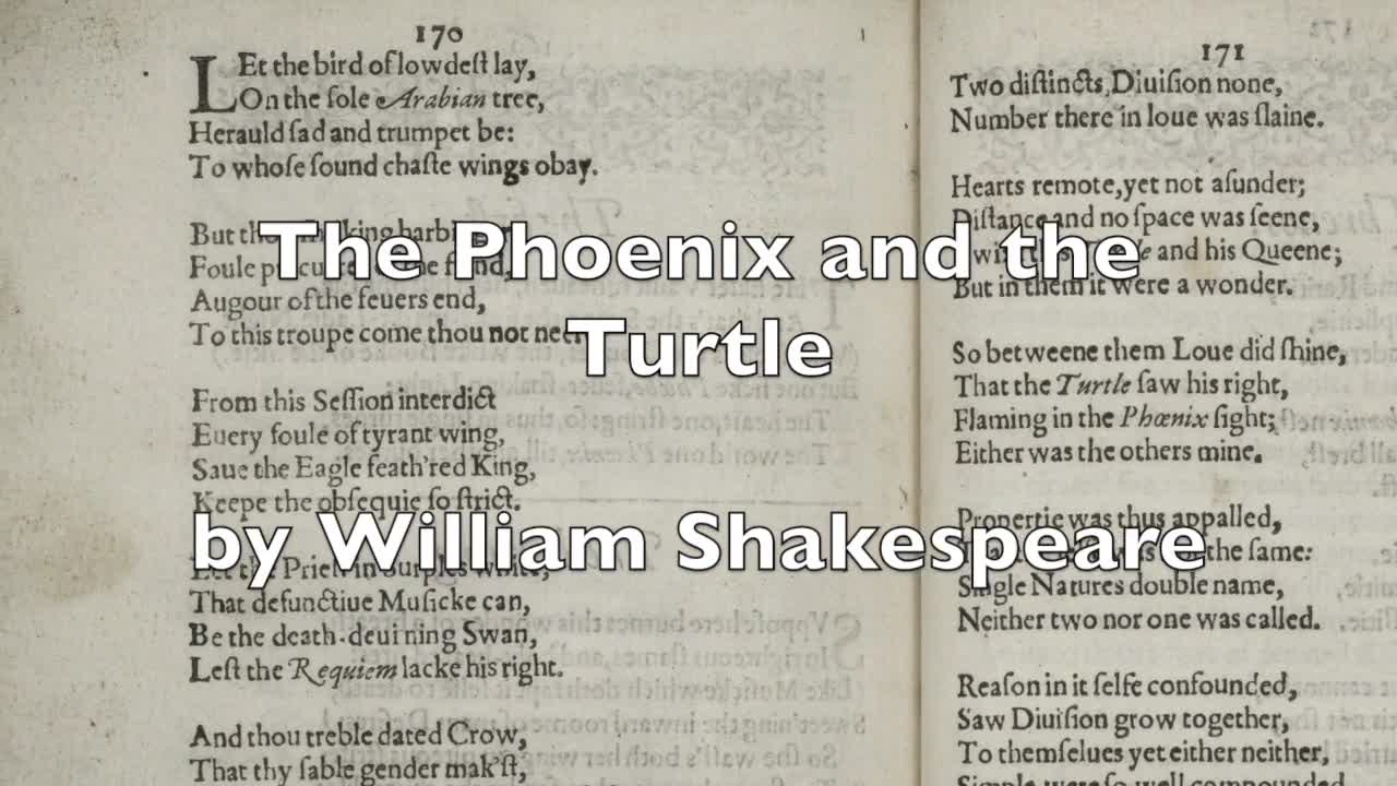 Phoenix and the Turtle