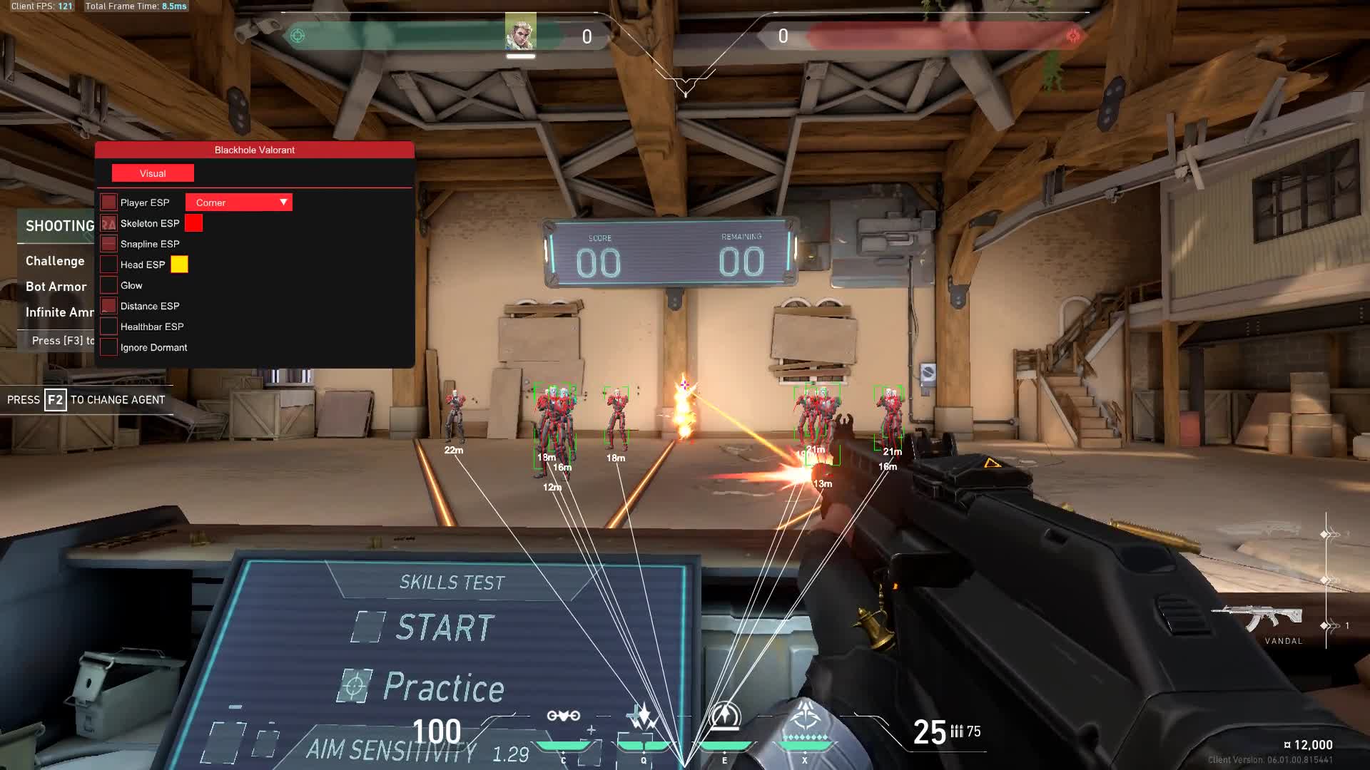 Valorant BH External ESP