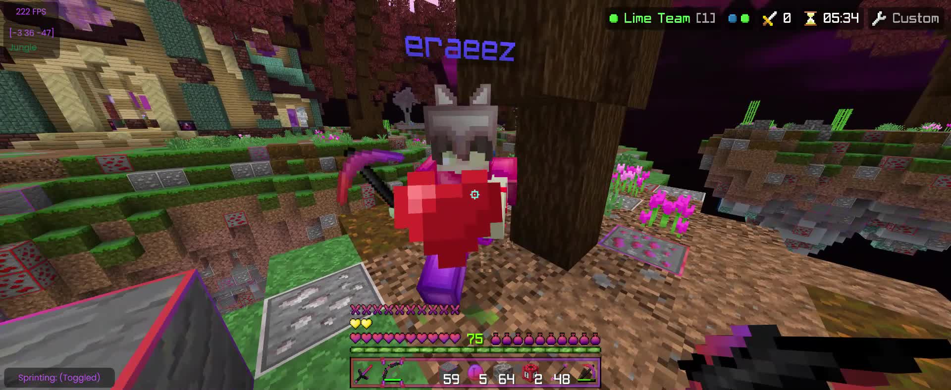 Watch Minecraft 2022-12-31 20-12-53_Trim | Streamable