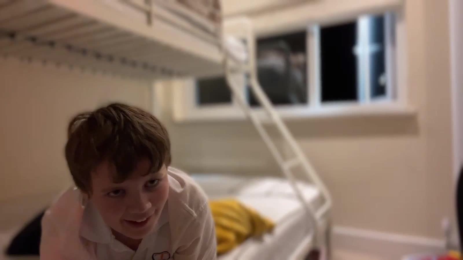 Watch Dog 2 | Streamable