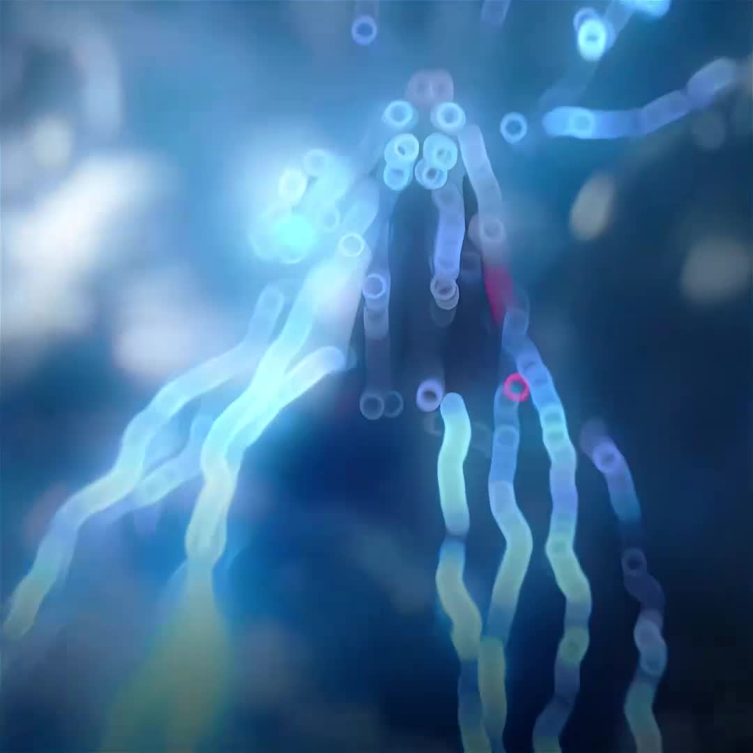 Watch thor | Streamable