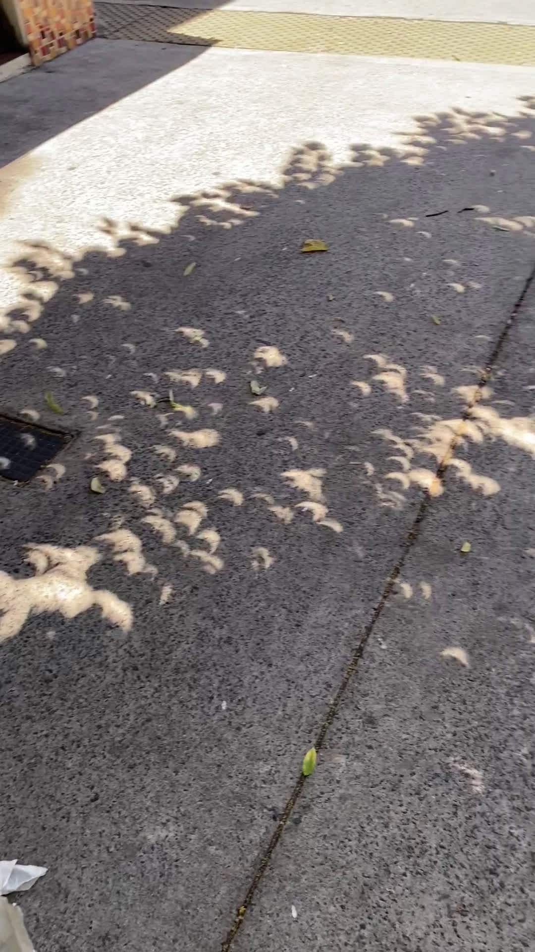 Shadows during eclipse