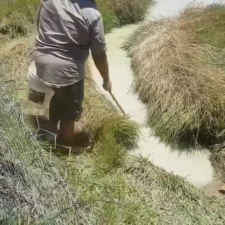 Watch rapidsave.com_the_reason_you_should_avoid_the_water_in_australia ...