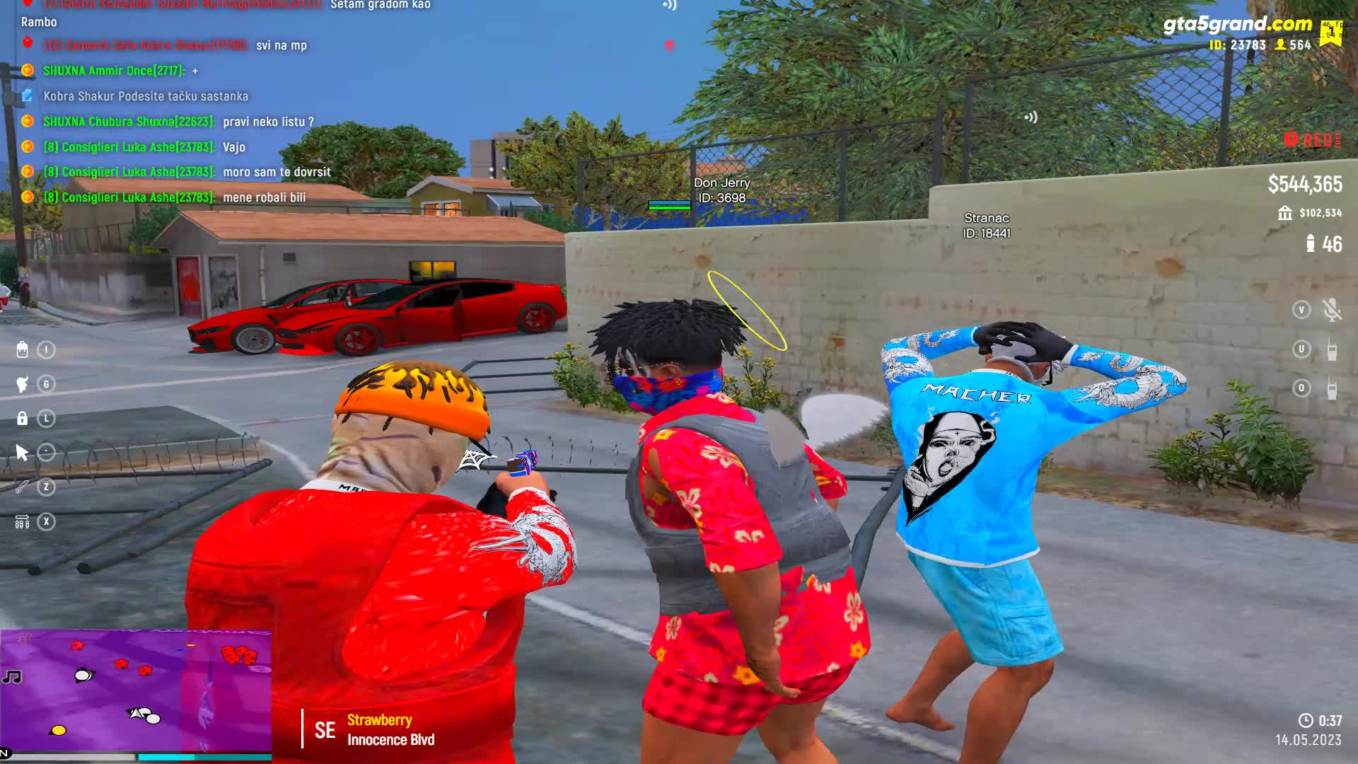 Watch npc leader | Streamable