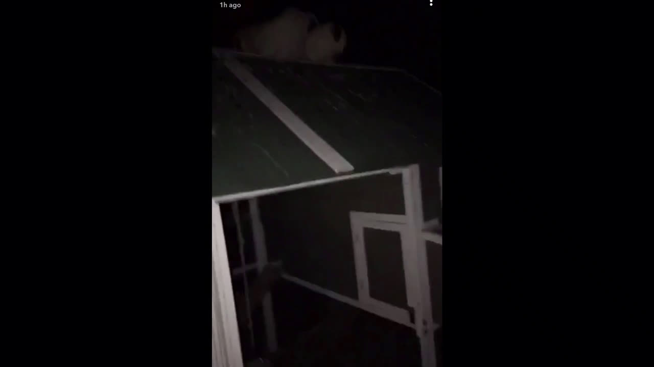 Guy gets spooked by chickens while trying to find eggs at night.