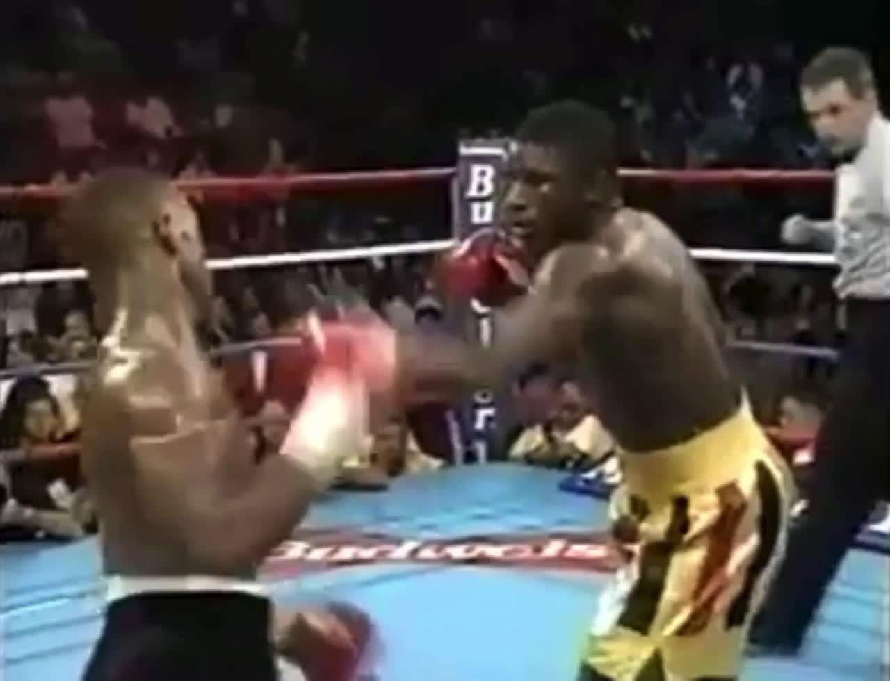 Mayweather Perfect Pull Counter