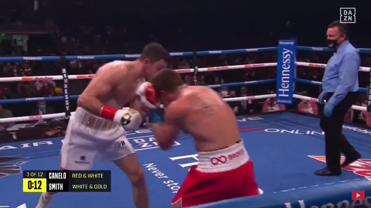 Canelo defensive layers