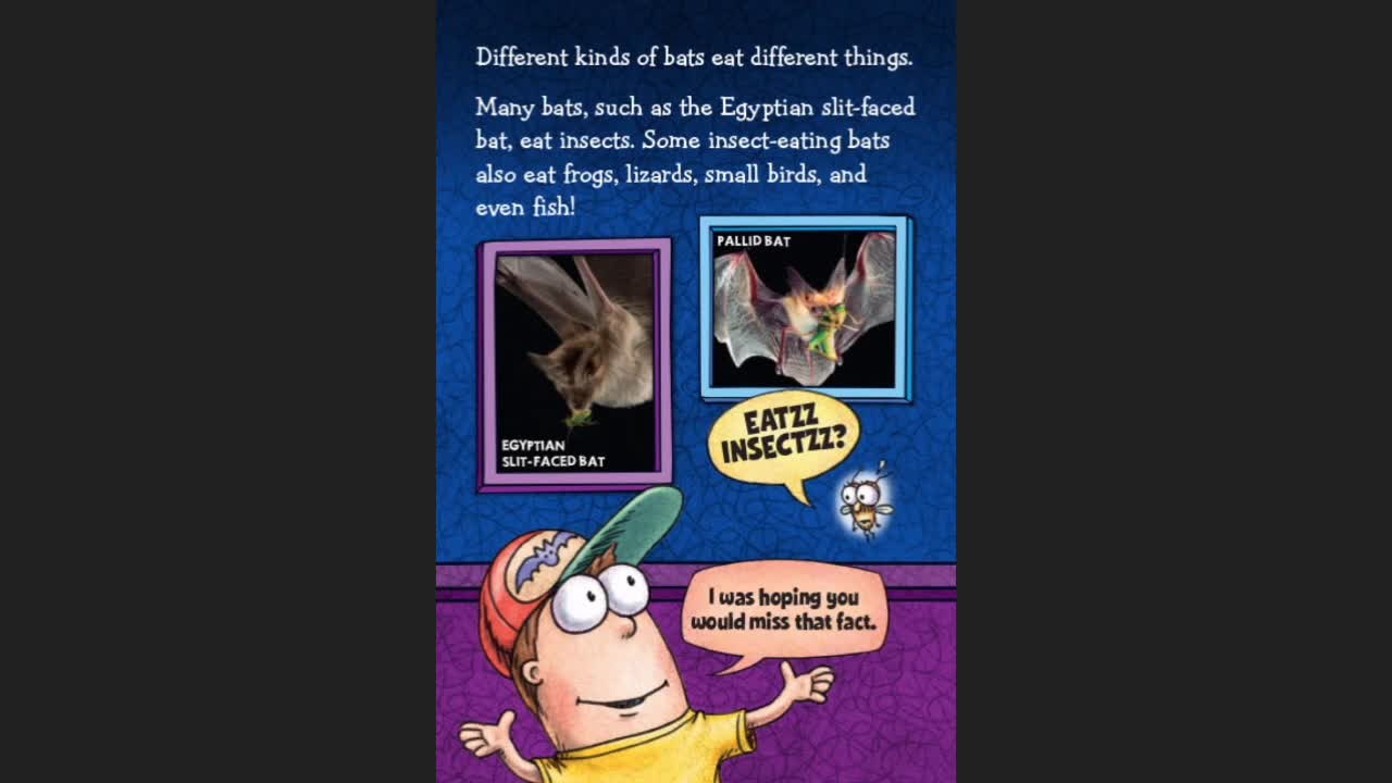 🪰🦇 Fly Guy Presents: BATS Read Aloud Educational Kid's Book
