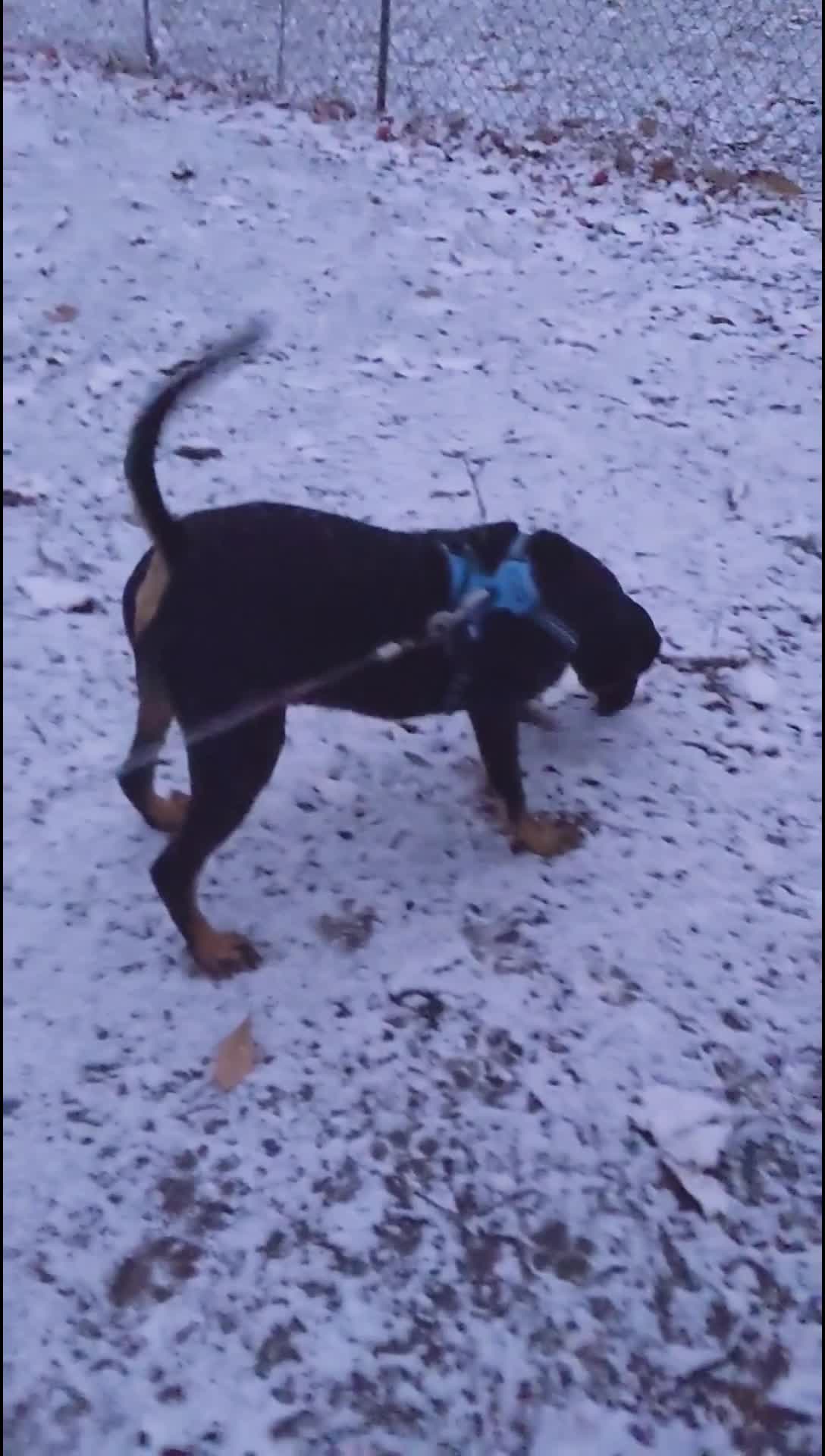 Cooper discovers snow
