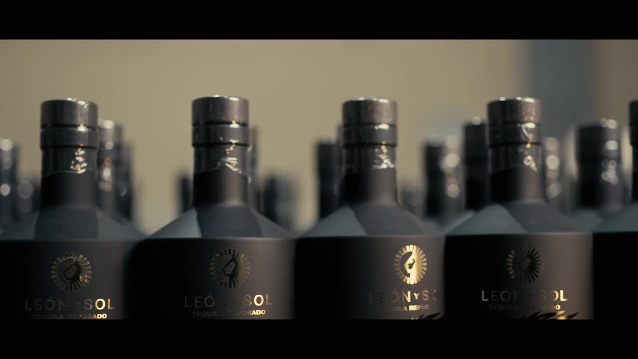 Watch FINAL TEQUILA LEÓN Y SOL (1) | Streamable