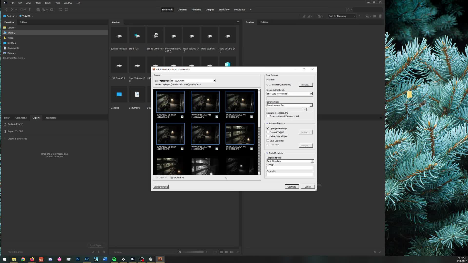 Importing Files using Bridge