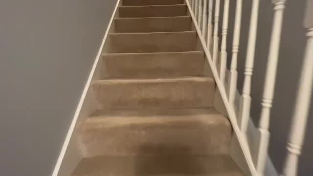 Watch My Movie 212 | Streamable