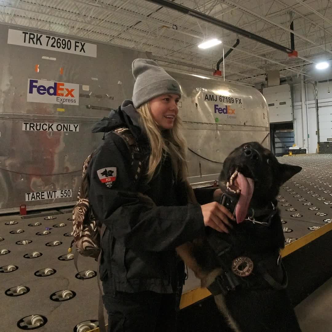 fedex_explosives_doggo.mp4