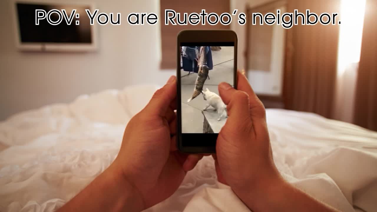 Watch ruepov2 | Streamable