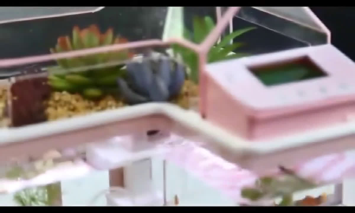 Creative Small Fish Tank Mini Office Fish Tan