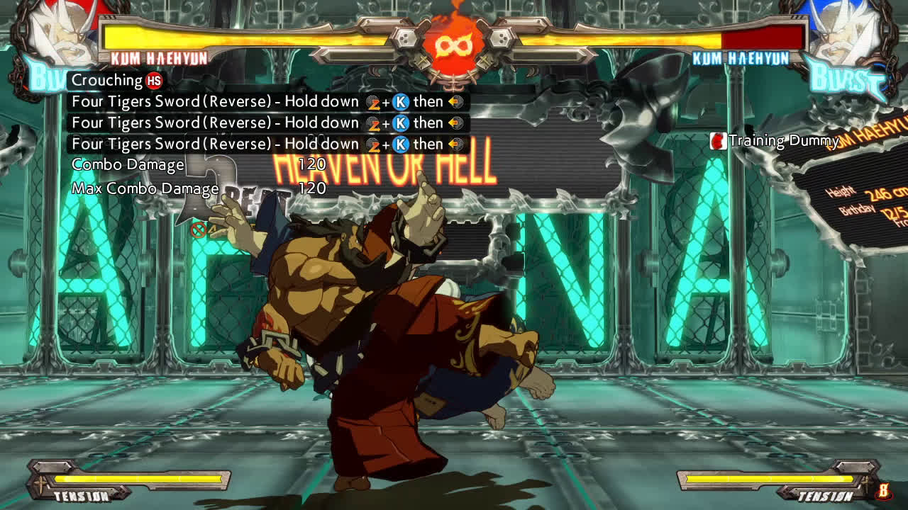 babys first kick loop