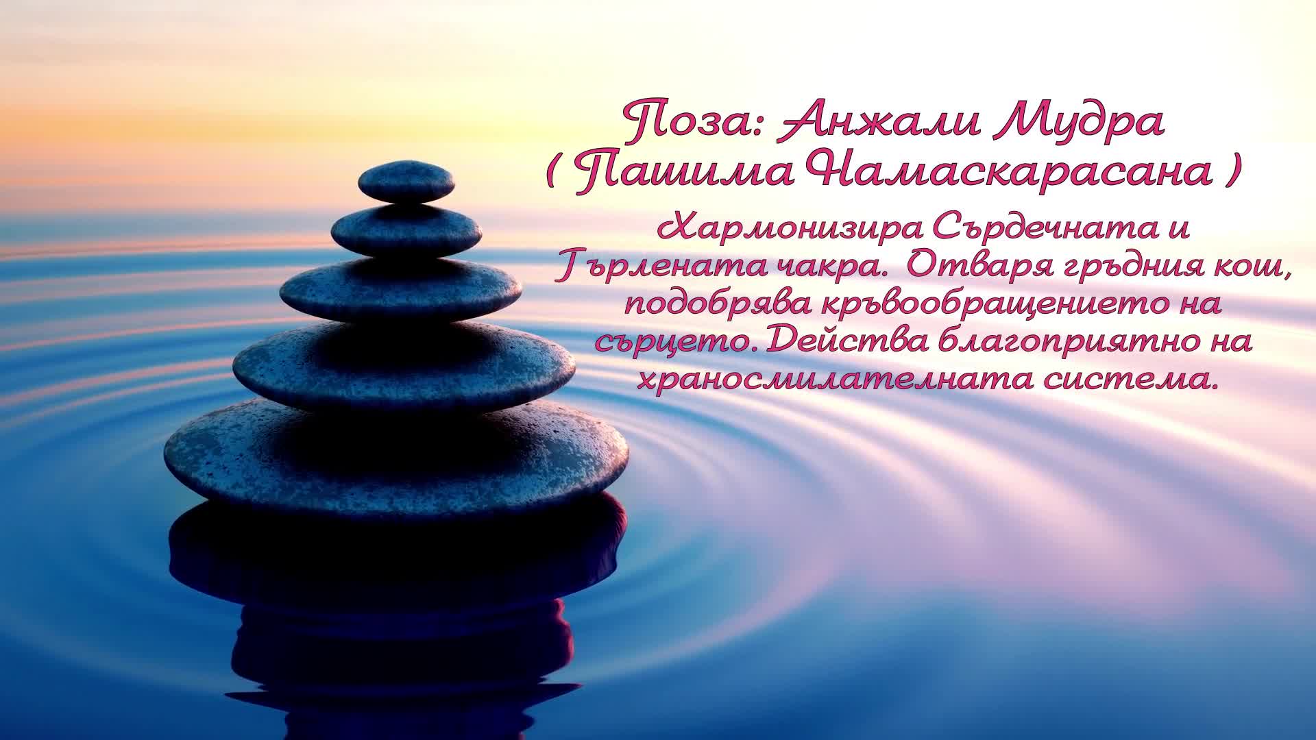 Watch 57_Aнжали Mудра МОДУЛ 2 | Streamable