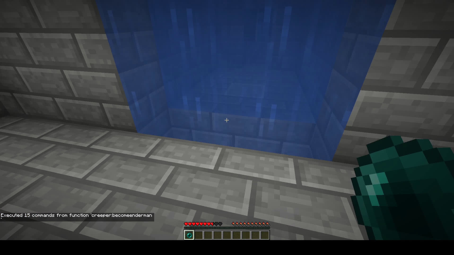 Shapeshifting in Minecraft