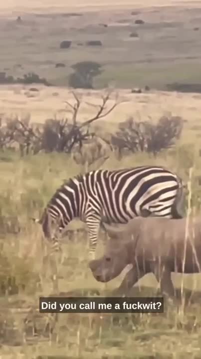 undefined - Imgur (4)