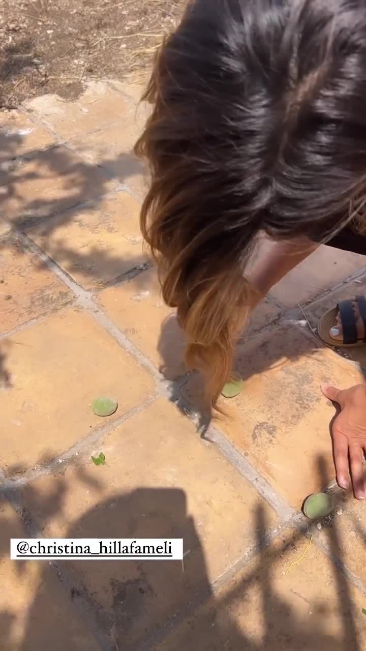 D1424CA156DEF512B2C8EA6002A56CBA_video_dashinit