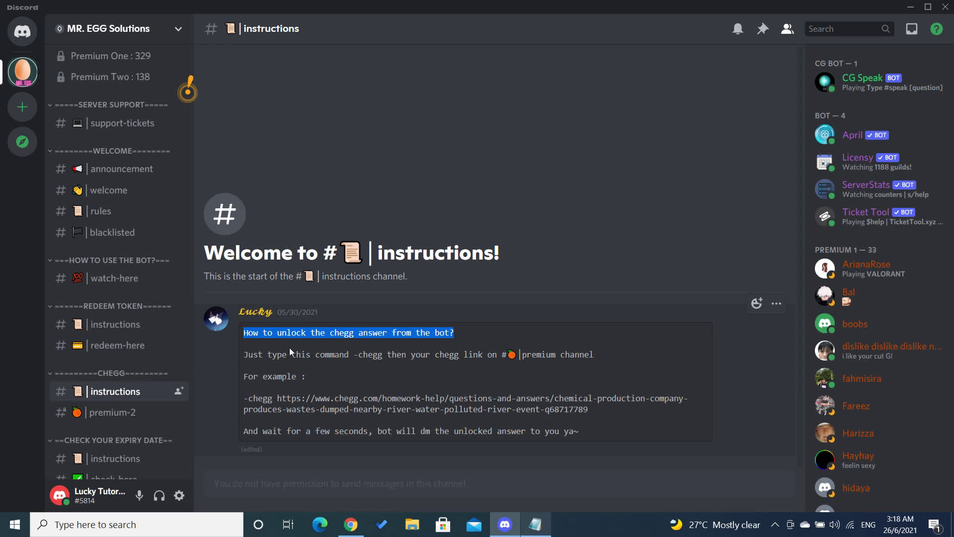 How to use the chegg bot