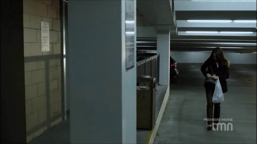 Woman on the Run - Sarah Butler, Lindsay Maxwell