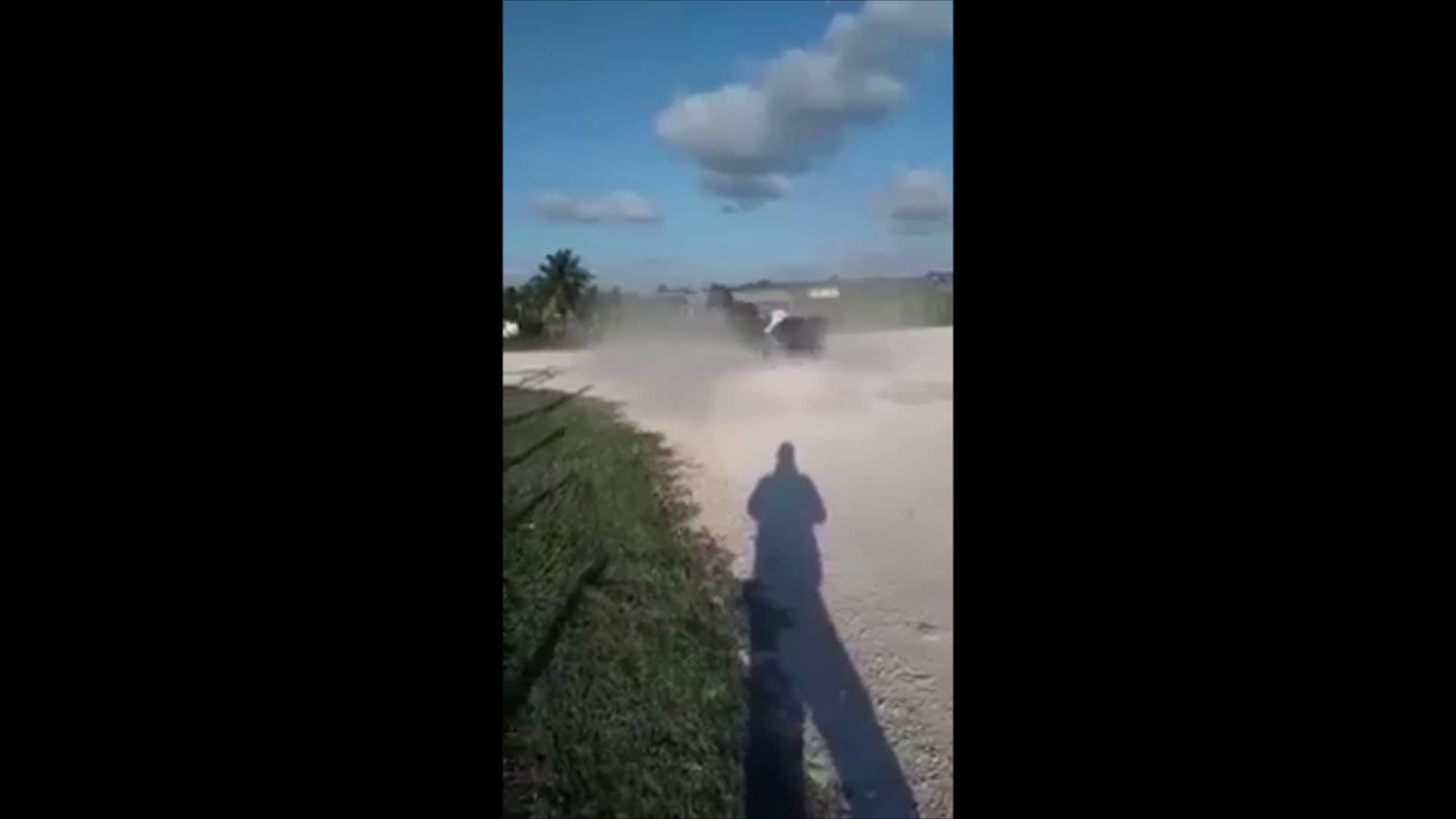 Tokyo Amish Drift