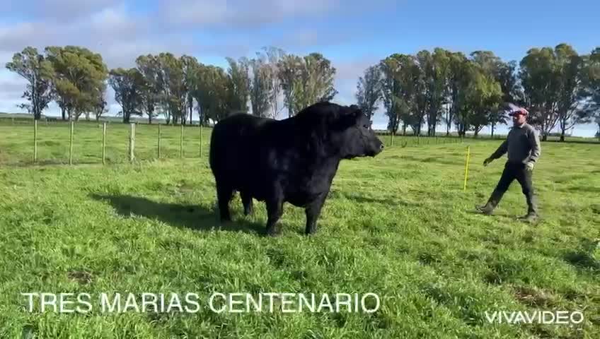 Watch Centenario | Streamable