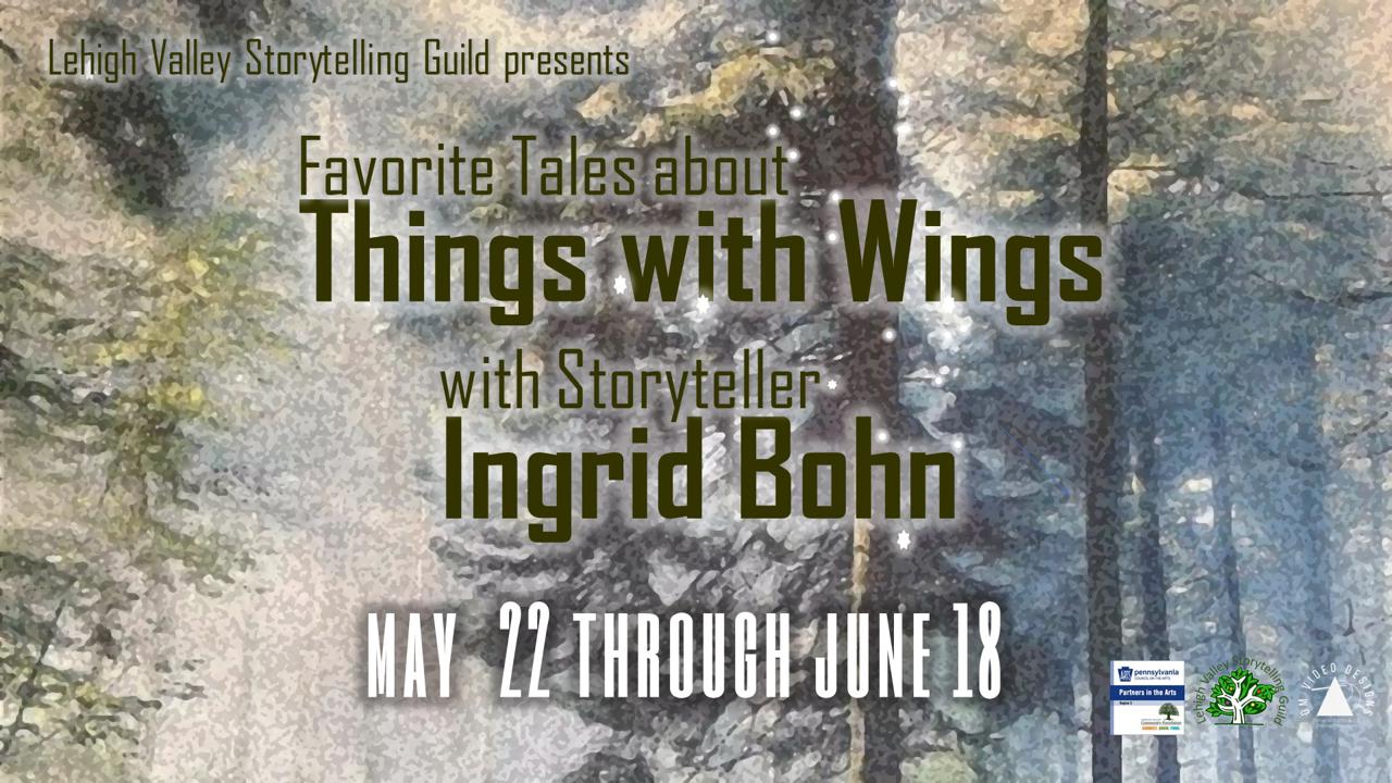 Watch Ingrid Bohn Things with Wings Promo_4 | Streamable