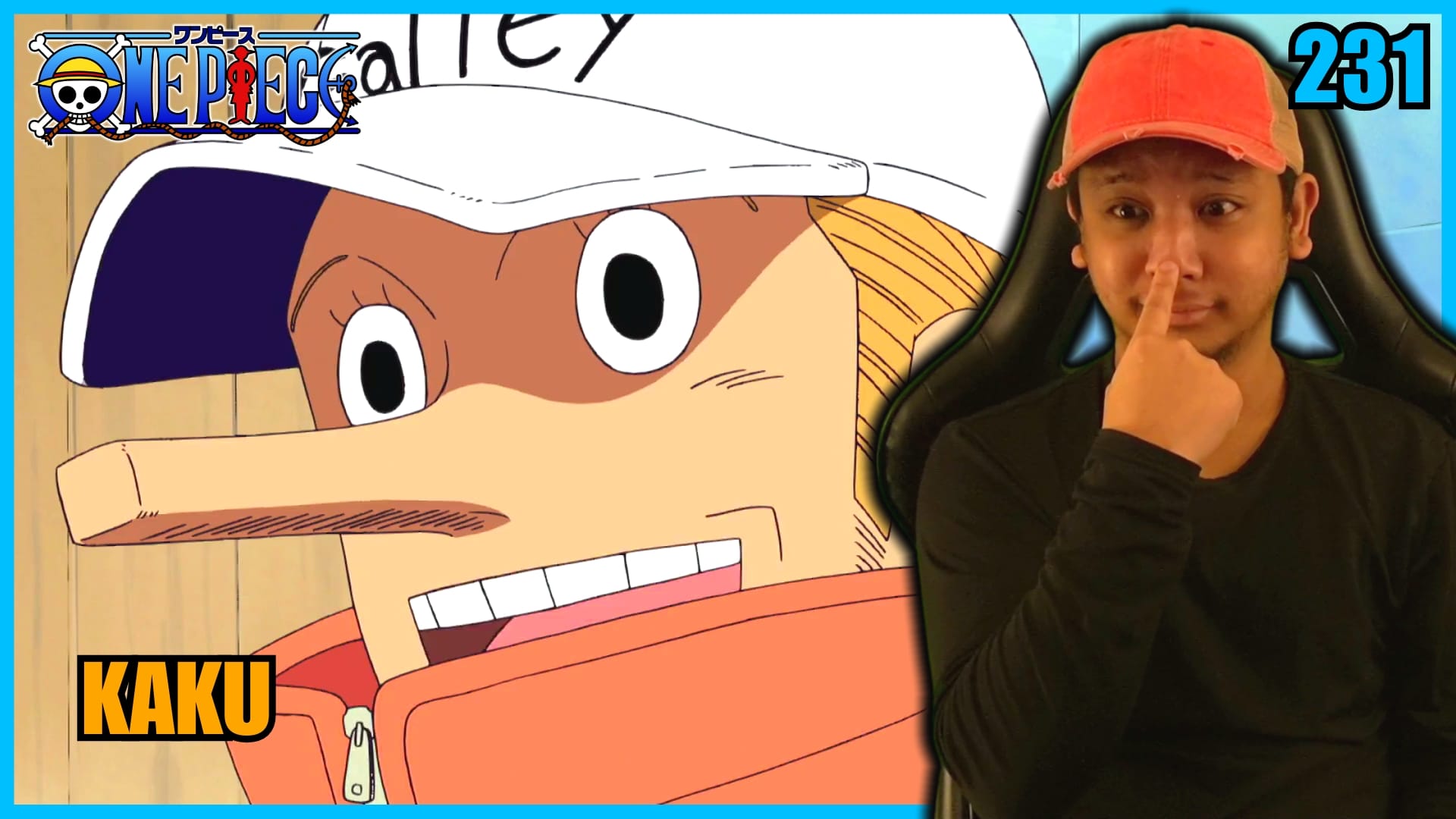 One Piece 231